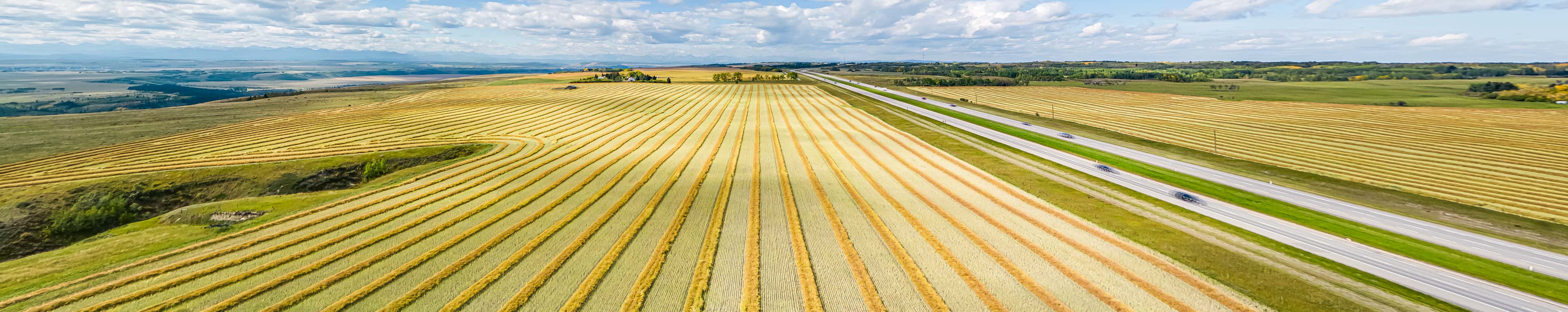 HEJMAS Agrifibre Technologies - one of a kind | pulp